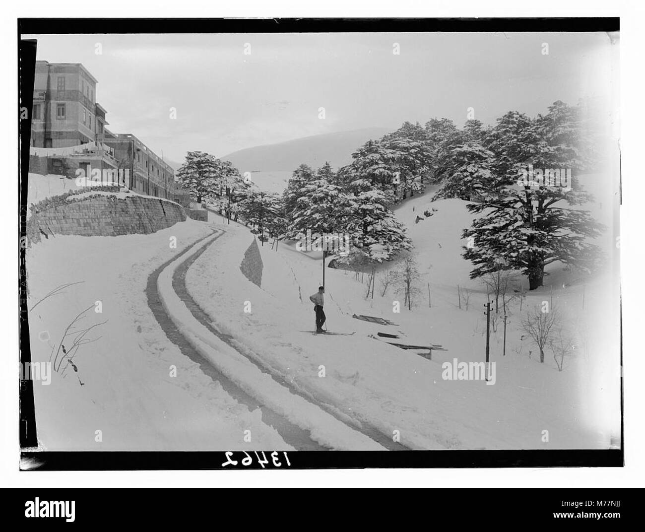 This image shows the motor road leading to the cedar grove, a natural ...