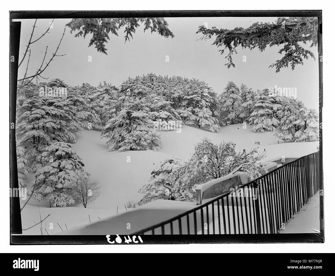 Winter scene from snowy Cut Out Stock Images & Pictures - Alamy