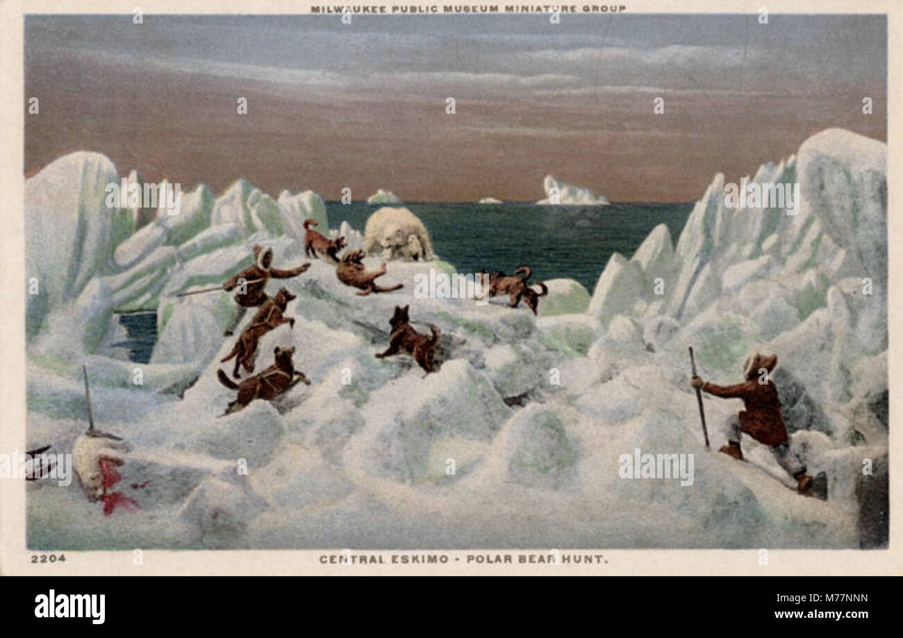 A depiction of a Central Eskimo hunting polar bears, as seen in a ...
