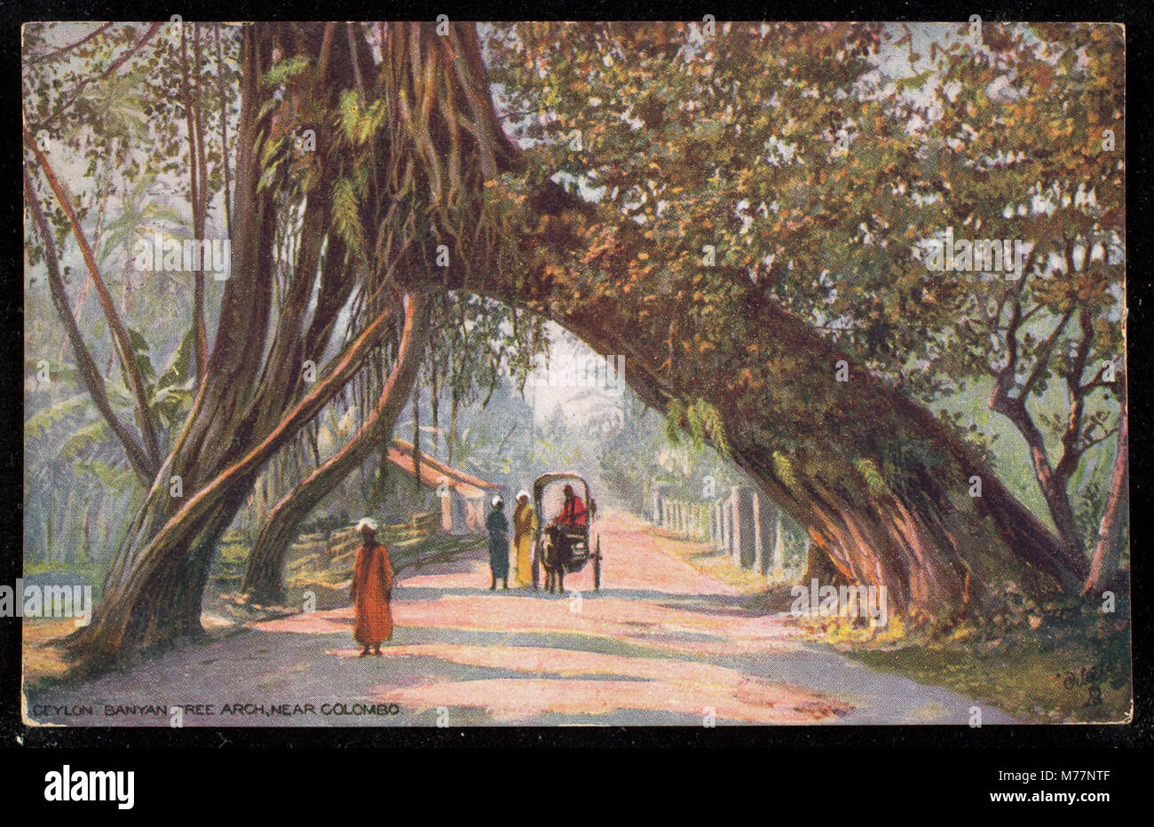The Ceylon Banyan Tree Arch, located near Colombo, Sri Lanka, forms a ...