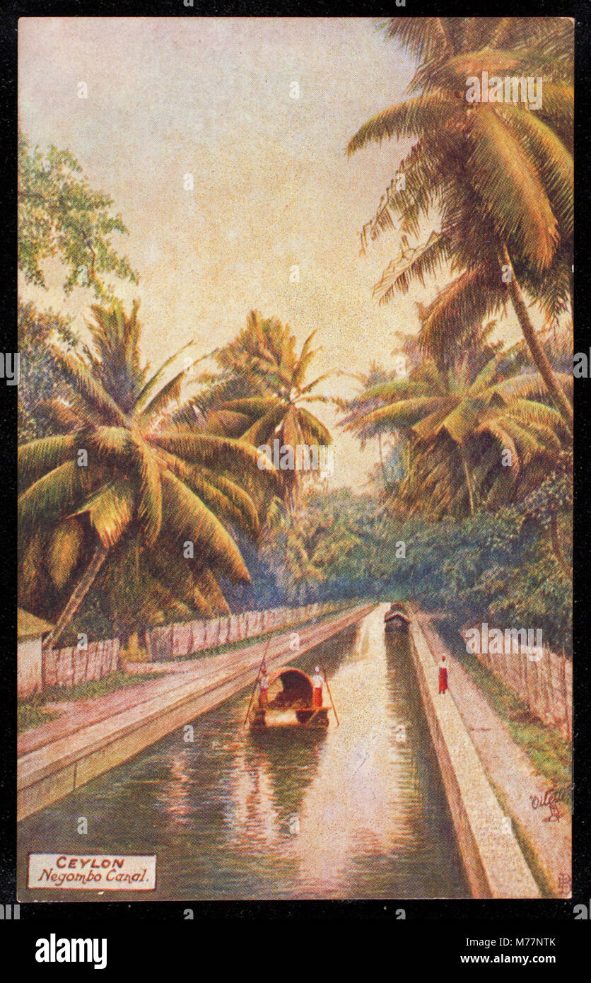 A photograph of the Negombo Canal in Ceylon (now Sri Lanka), showcasing ...