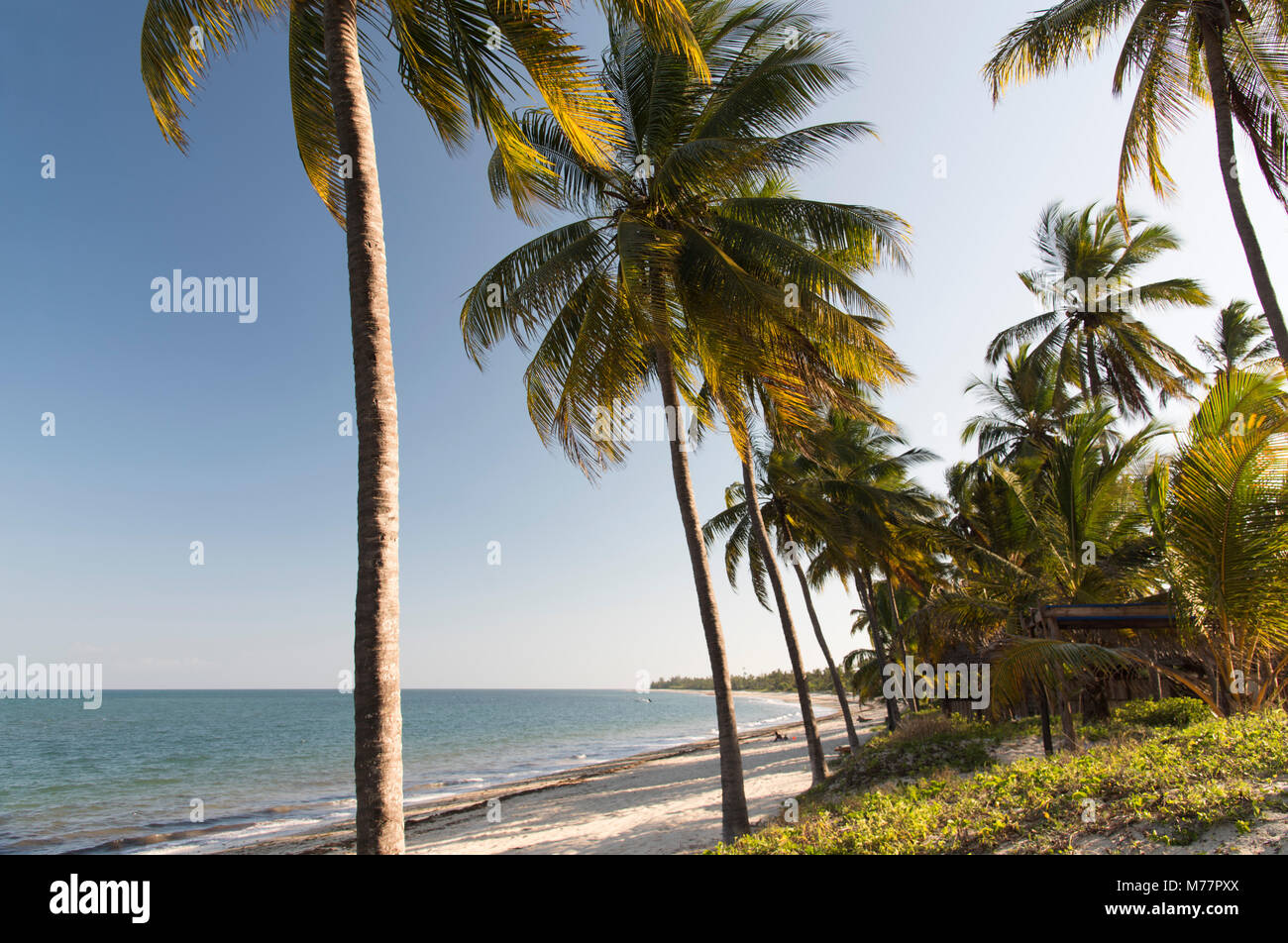 Ushongo beach hi-res stock photography and images - Alamy