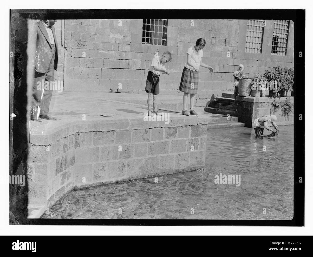 Children are shown feeding fish at the sacred fish shrine of el-Bedoui ...