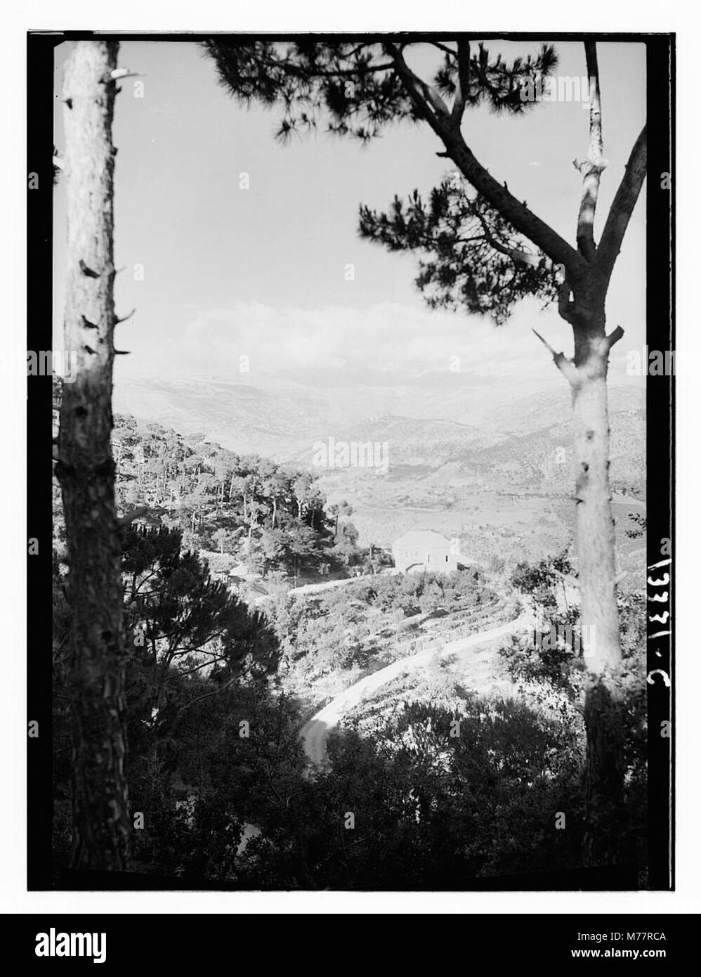 Panorama valley view from Cut Out Stock Images & Pictures - Alamy