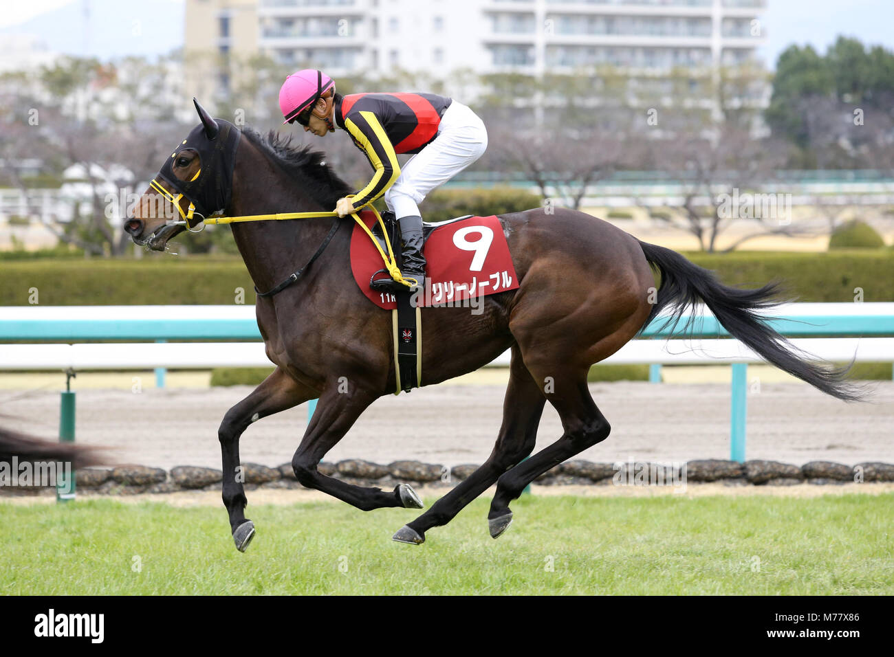 Hyogo, Japan. 3rd Mar, 2018. Lily Noble (Yuga Kawada) Horse Racing ...