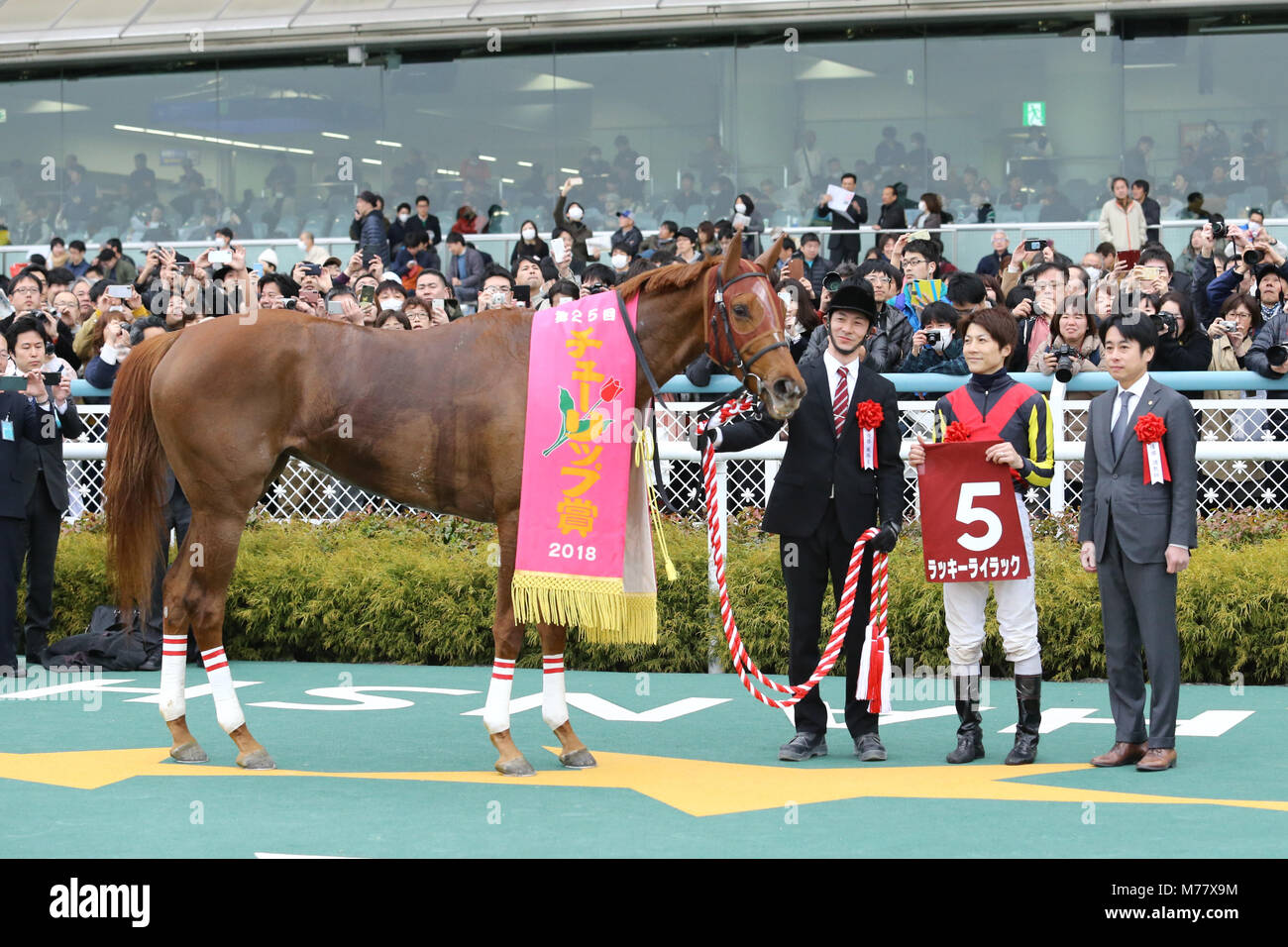 Hyogo, Japan. 3rd Mar, 2018. Lucky Lilac (Shu Ishibashi), Mikio Matsunaga Horse Racing : Trainer ...