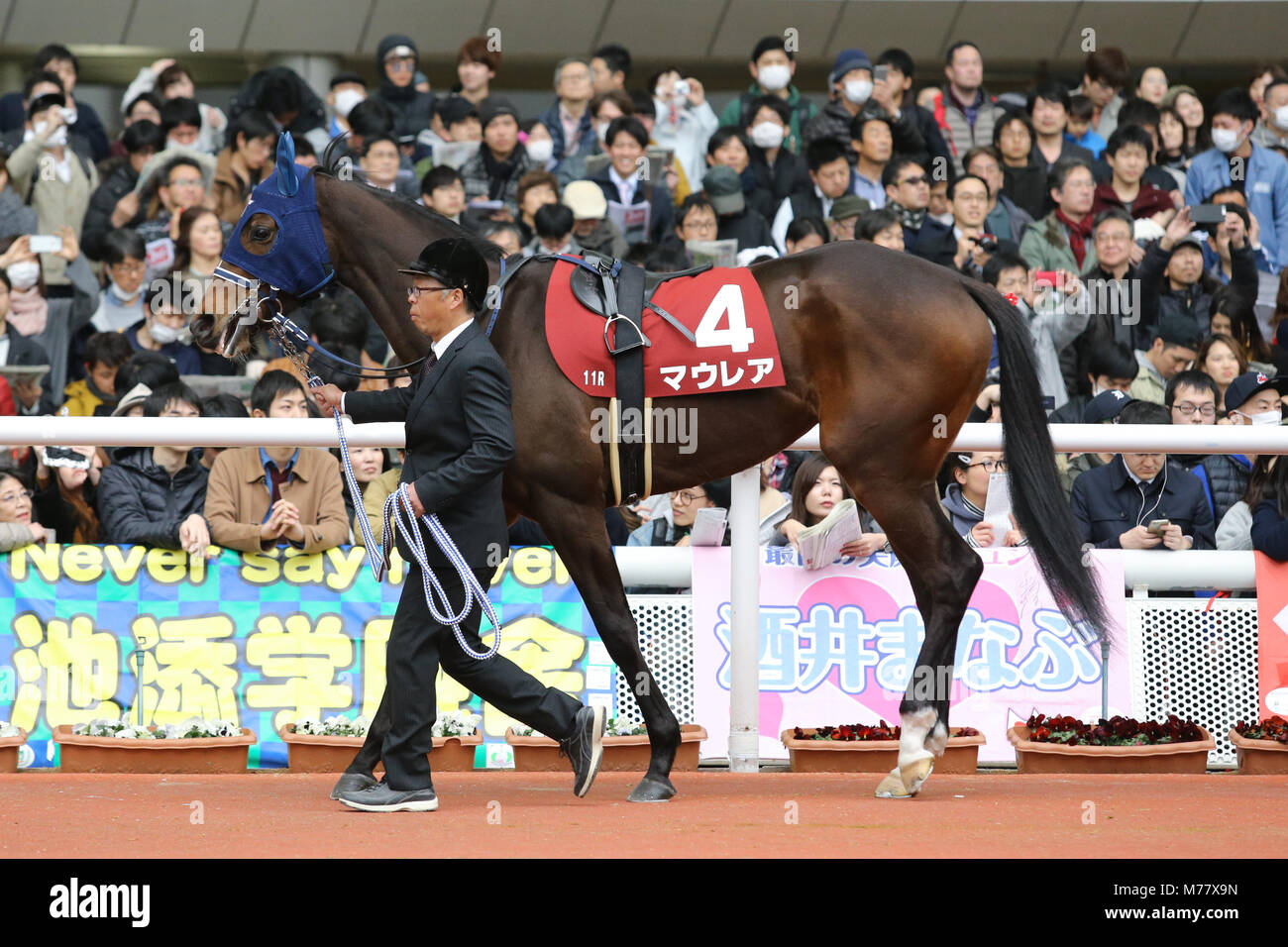 Hyogo, Japan. 3rd Mar, 2018. Mau Lea Horse Racing : Mau Lea is led ...