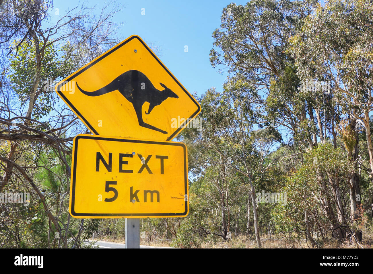 Australian bushfire bushfires hi-res stock photography and images - Alamy