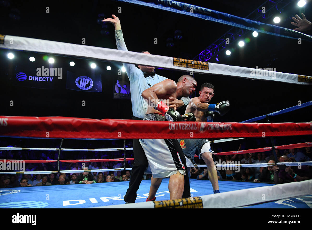 SAN JUAN, Puerto Rico. , . Noche de campeon Jayson Velez vs. Juan ...