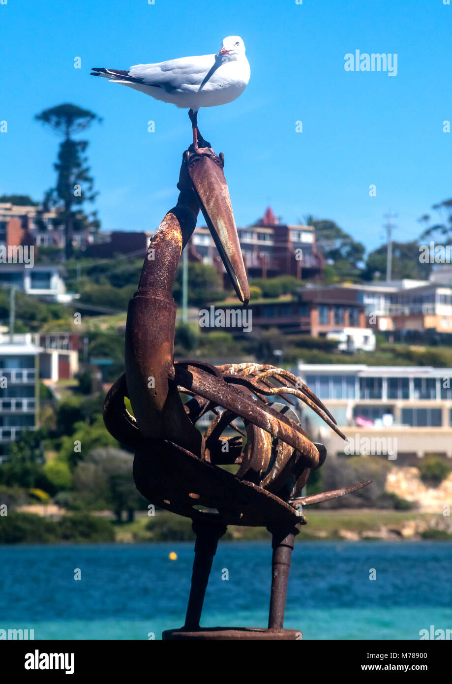 Sculpture by the sea australia hi-res stock photography and images - Alamy