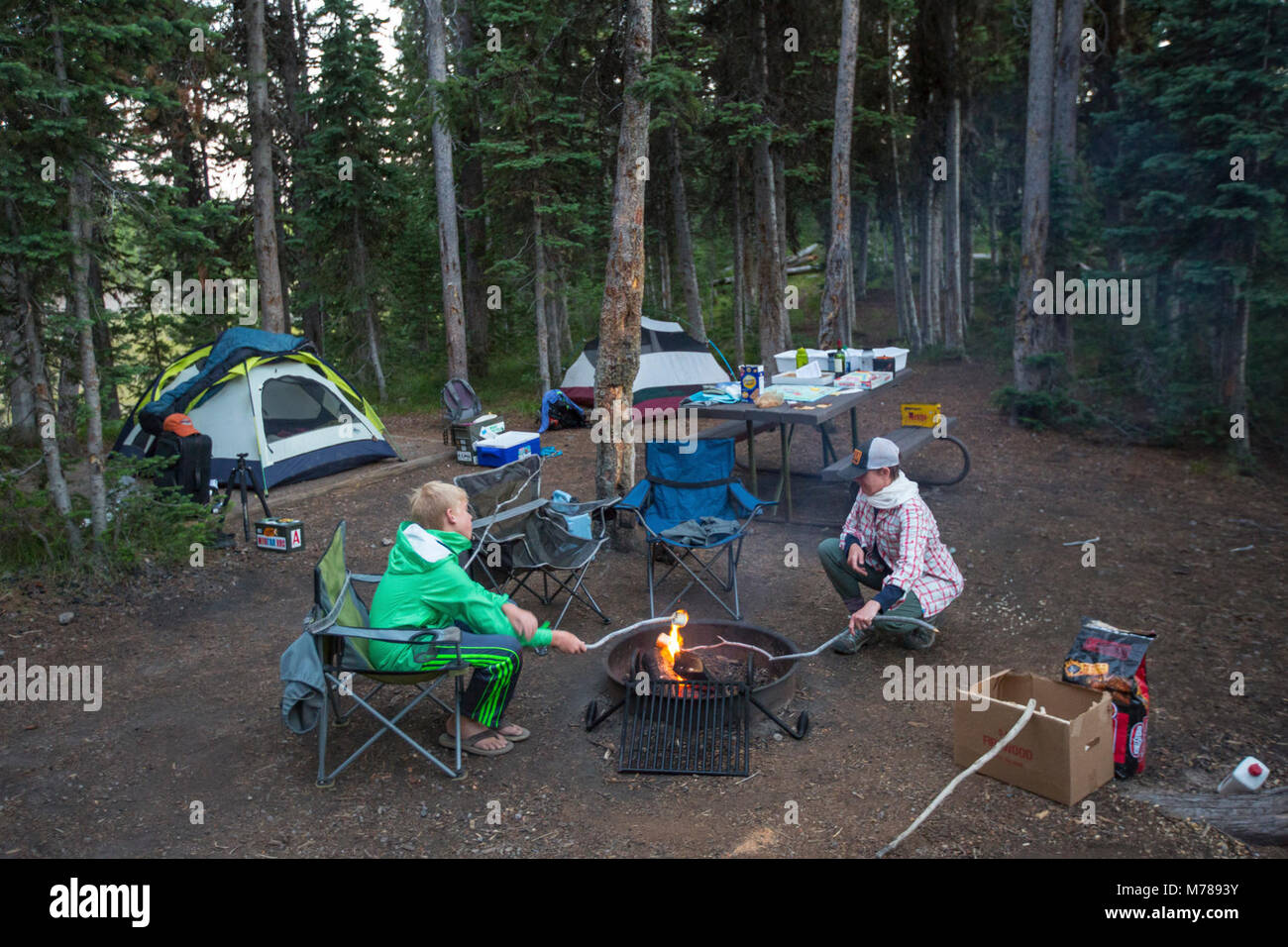 Campsite at Lewis Lake Stock Photo - Alamy