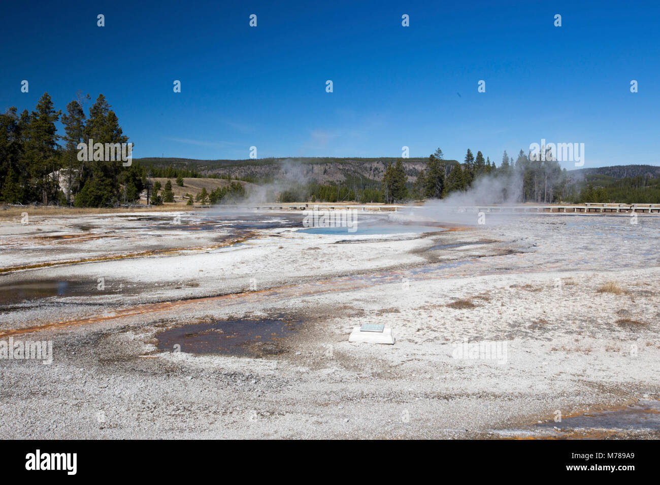 Comet Geyser, Upper Geyser Basin Stock Photo - Alamy