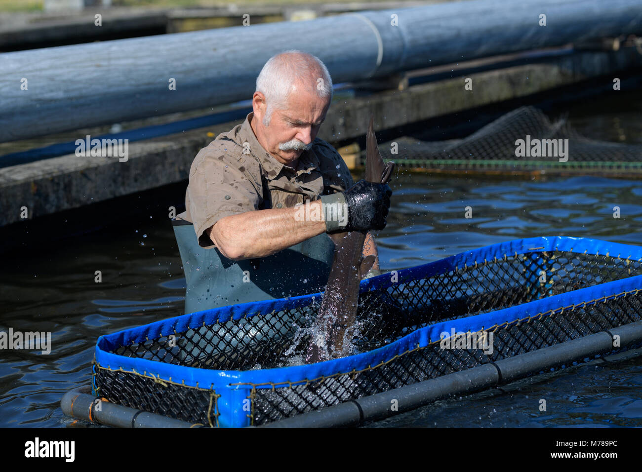 fisherman hand fishing Stock Photo - Alamy