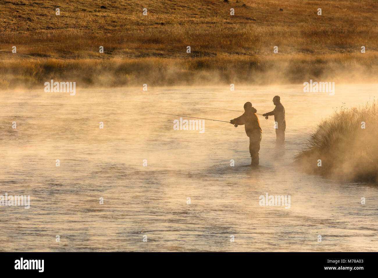 Fall fishing on the Madison River at sunrise (3 Stock Photo - Alamy
