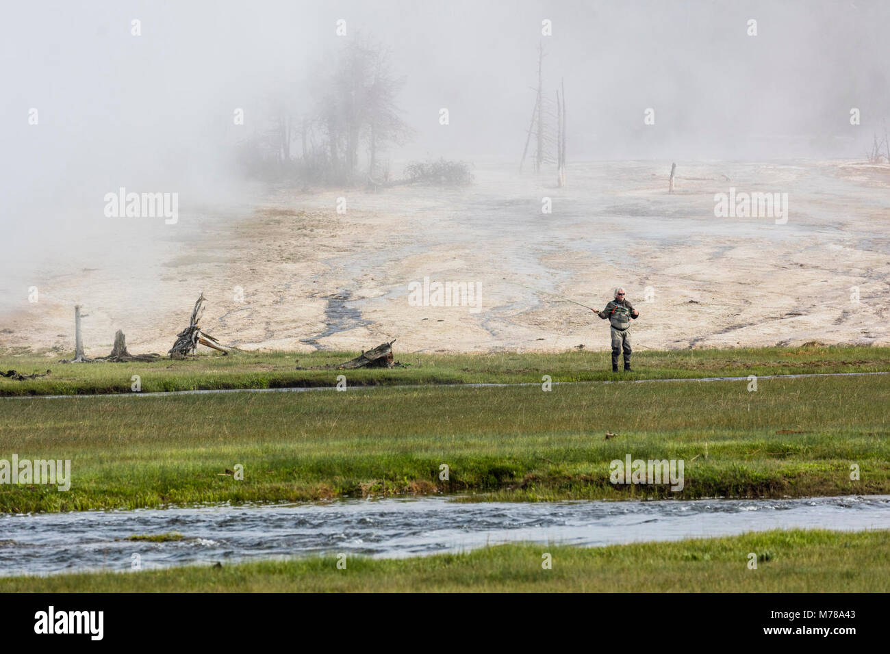 Fly fishing near Biscuit Basin (3 Stock Photo - Alamy