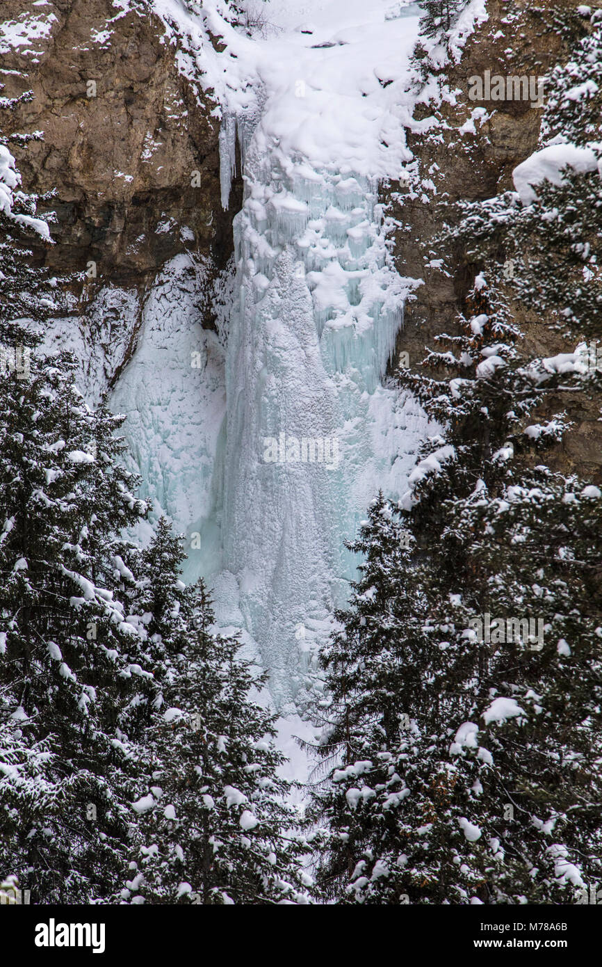 Frozen Tower Fall Portrait Stock Photo - Alamy