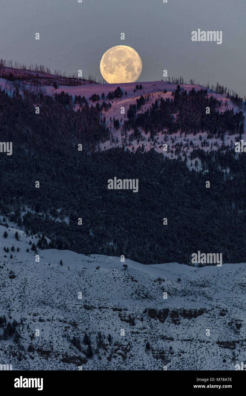 Full moon setting with morning alpenglow Stock Photo - Alamy