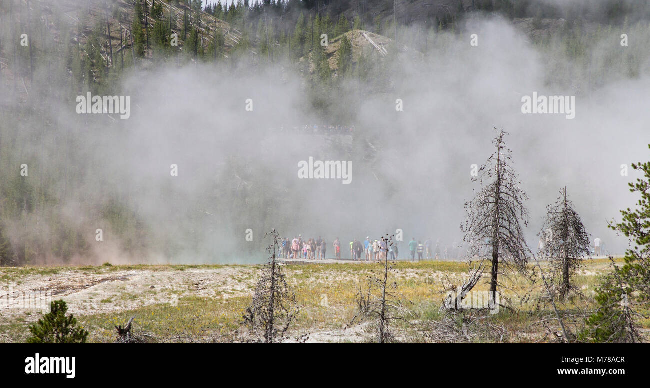 Grand Prismatic Spring and People at Overlook Stock Photo - Alamy