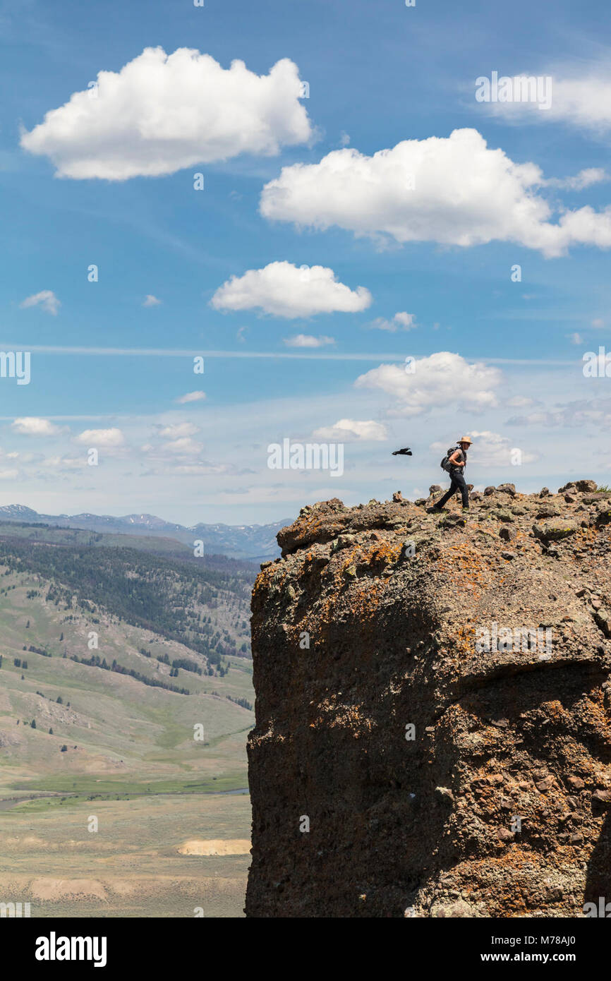 Specimen ridge yellowstone hi-res stock photography and images - Alamy