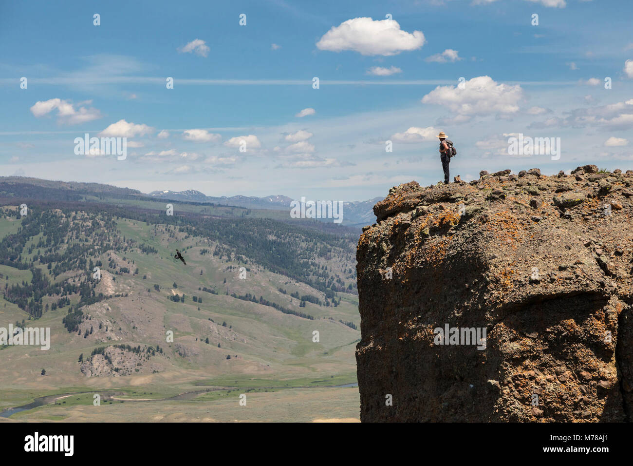 Specimen ridge yellowstone hi-res stock photography and images - Alamy