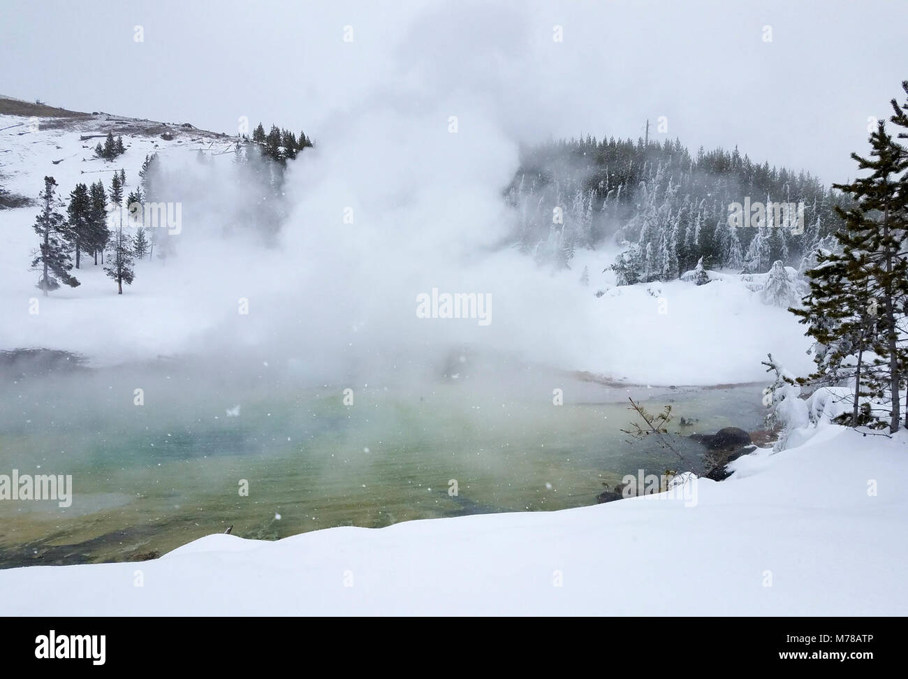 Imperial geyser yellowstone hi-res stock photography and images - Alamy