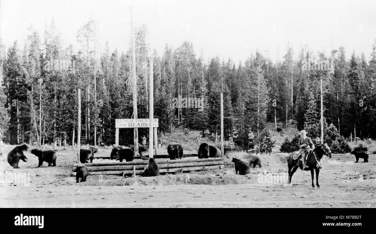 Lunch Counter - For Bears Only. ;Lunch Counter - For Bears Onlyat Old ...