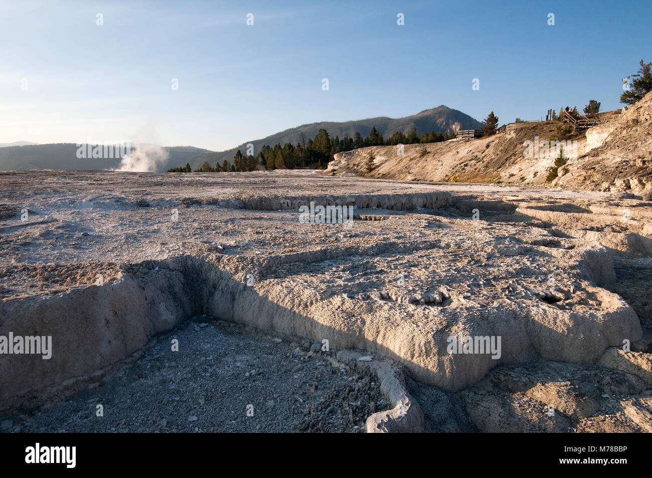 Mammoth Hot Springs. The spot where Jackson photographed the Mammoth ...
