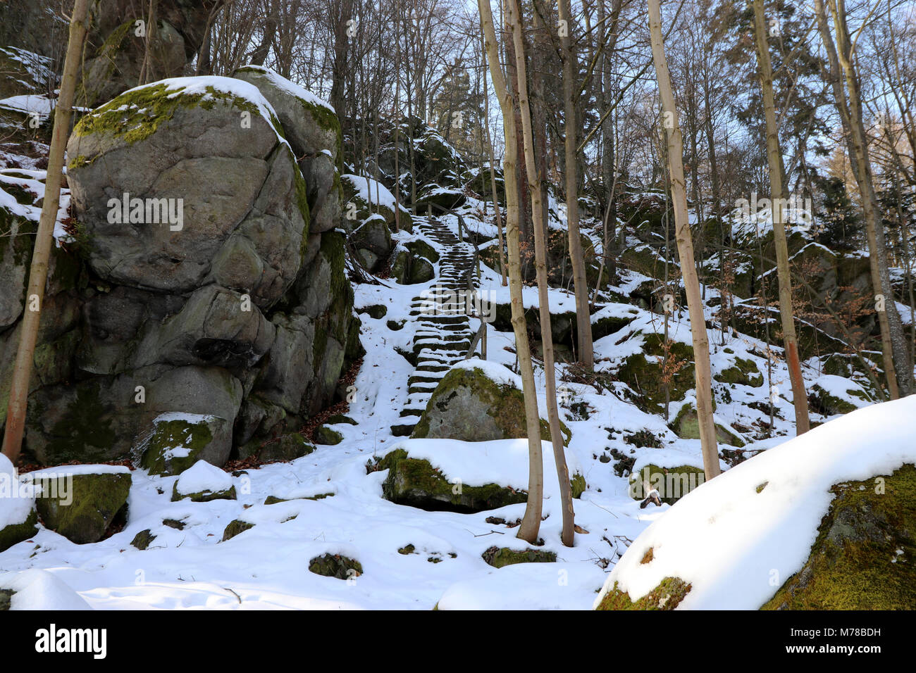 Background falkenstein castle hi-res stock photography and images - Alamy