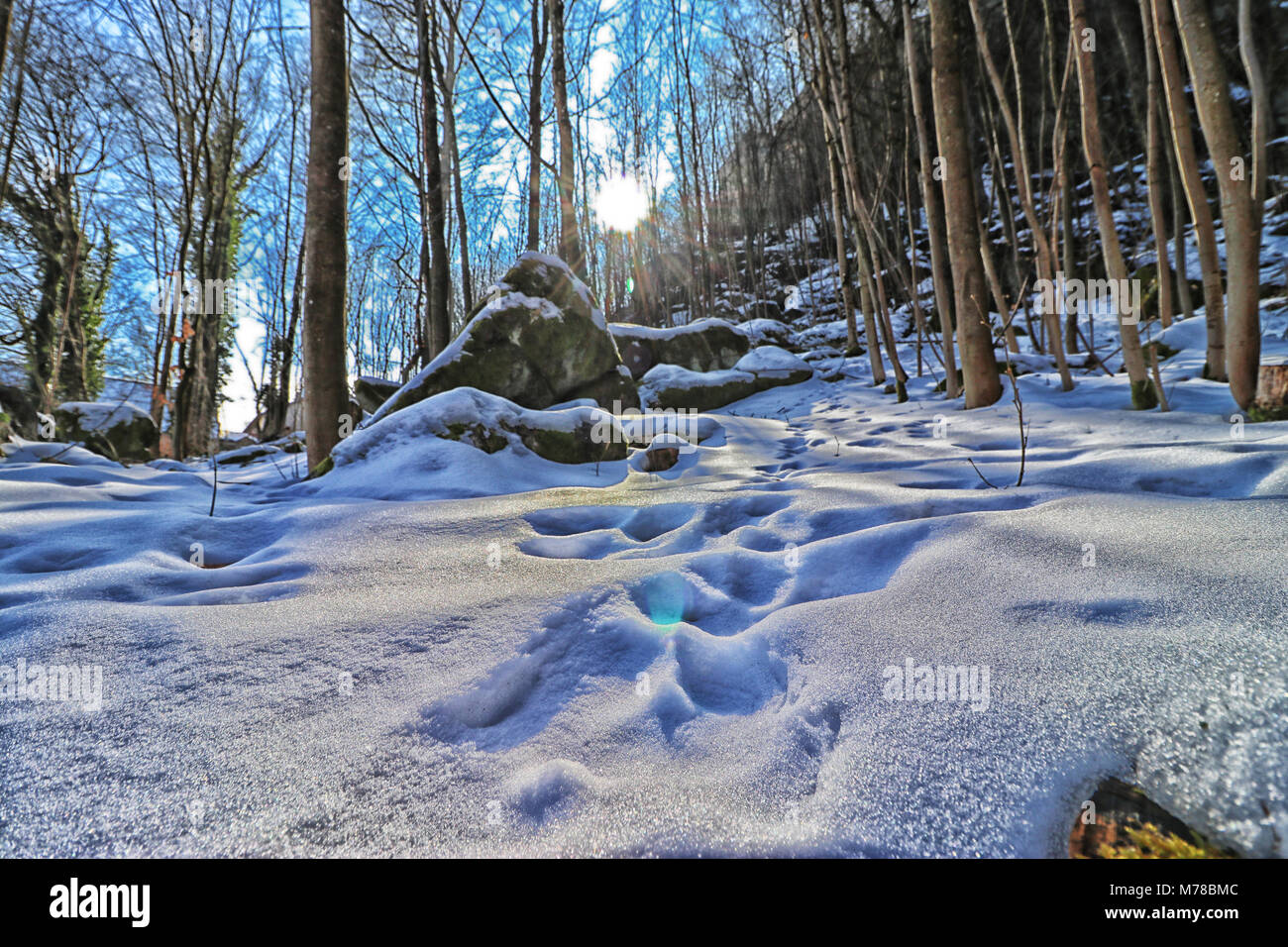 Falkenstein in the Upper Palatinate with the landmark of Falkenstein ...