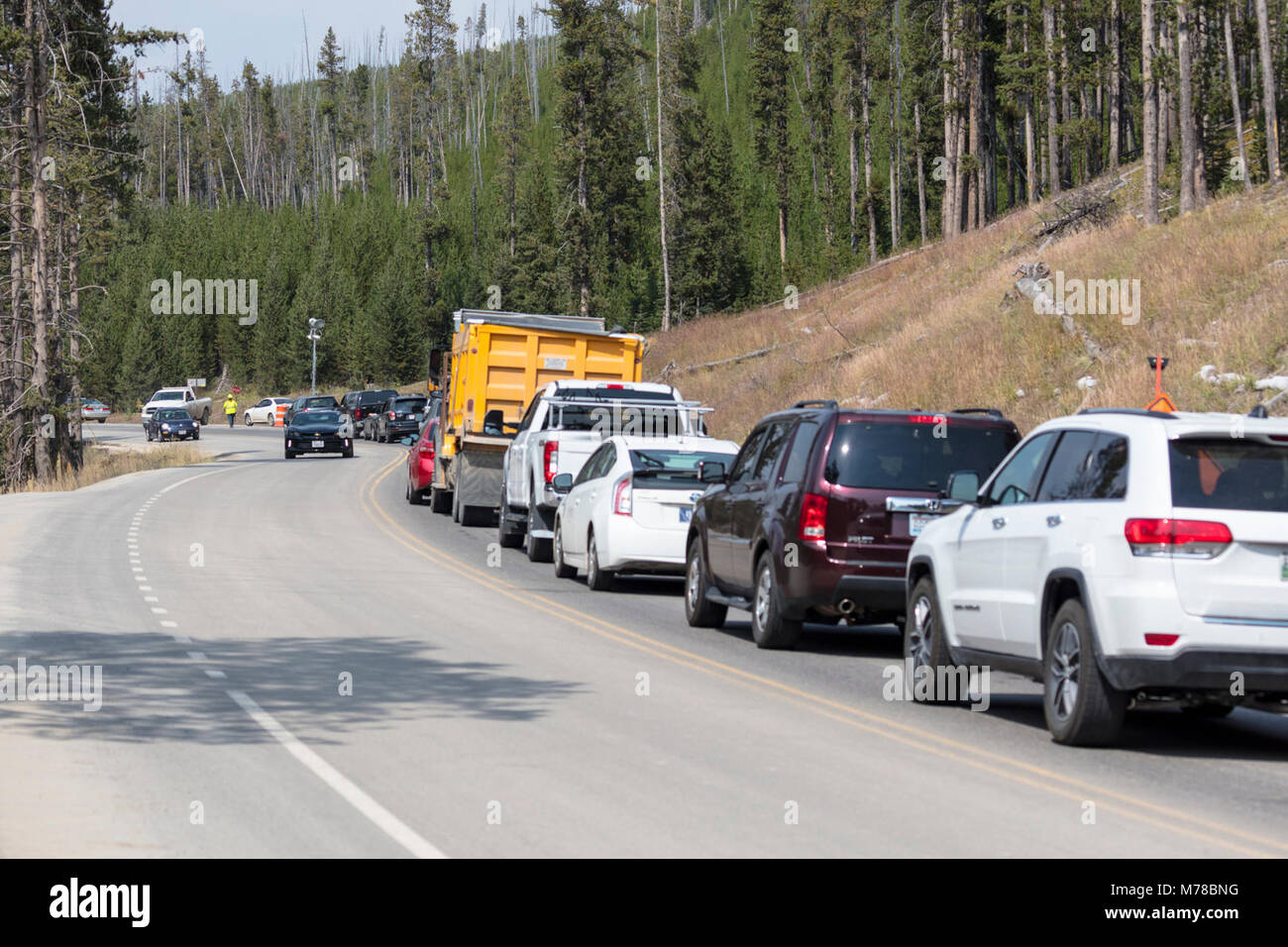 Northbound road construction wait line Stock Photo - Alamy