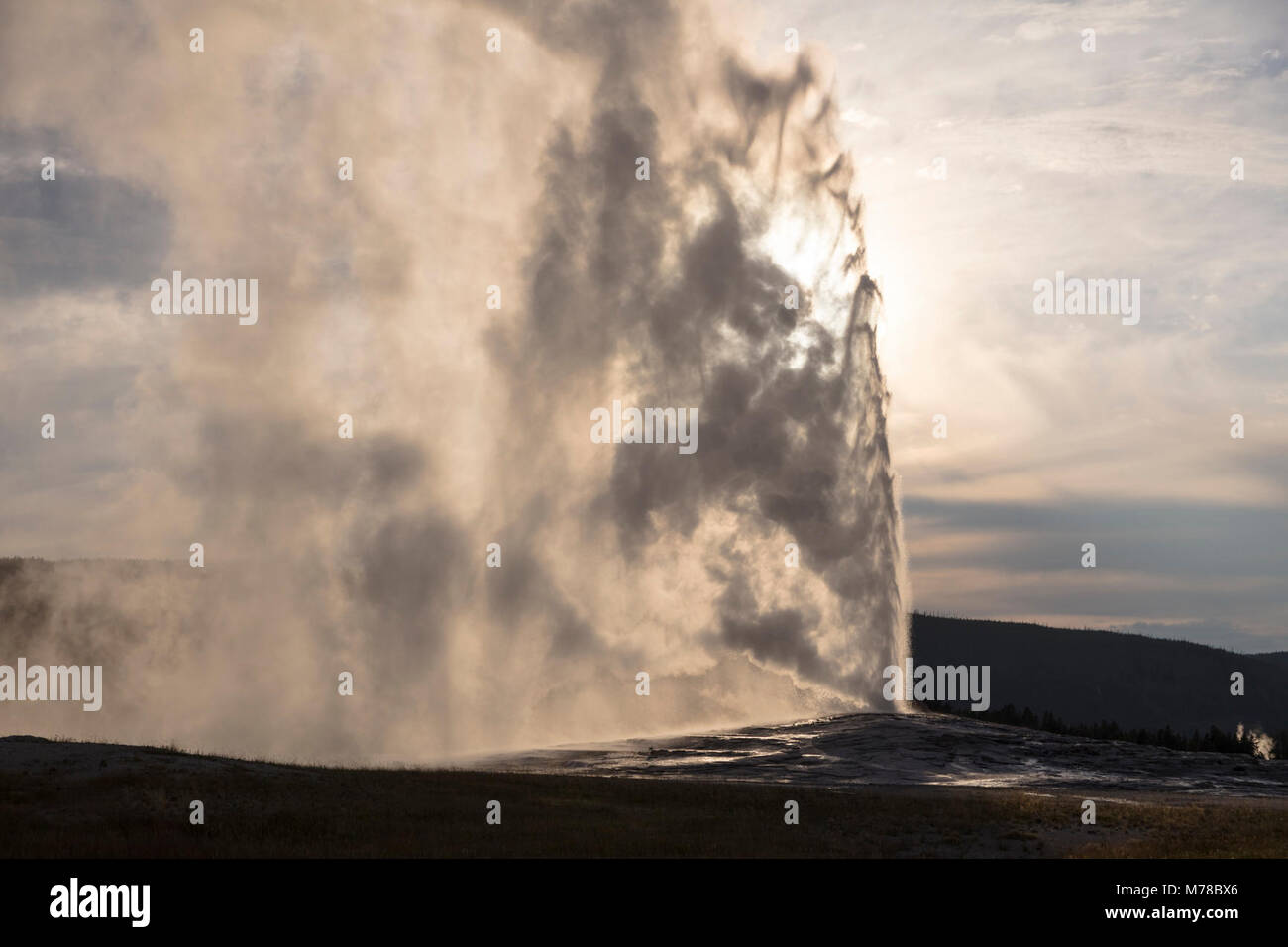 Old Faithful eruption in front of the sun Stock Photo - Alamy