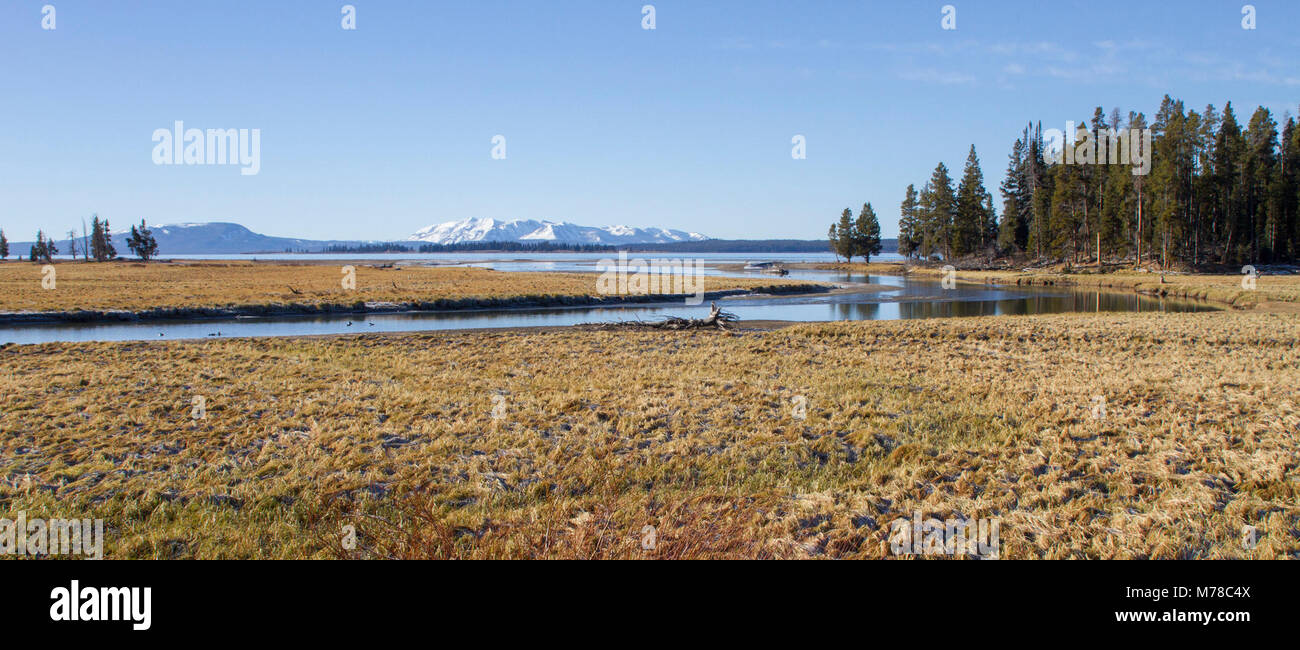 Pelican creek yellowstone hi-res stock photography and images - Alamy