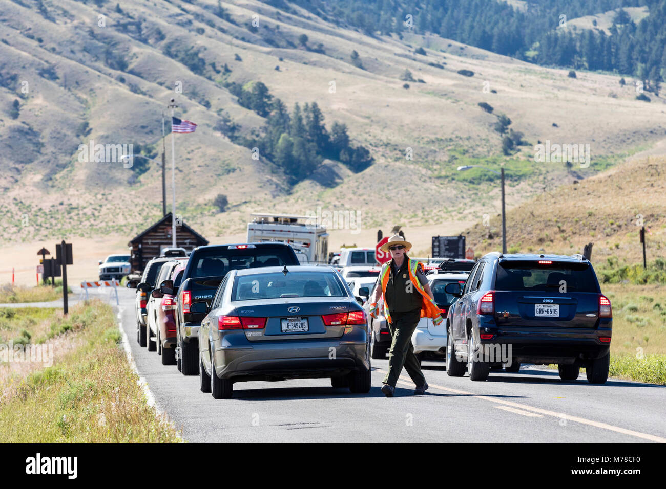 National park ranger directing traffic hi-res stock photography and ...