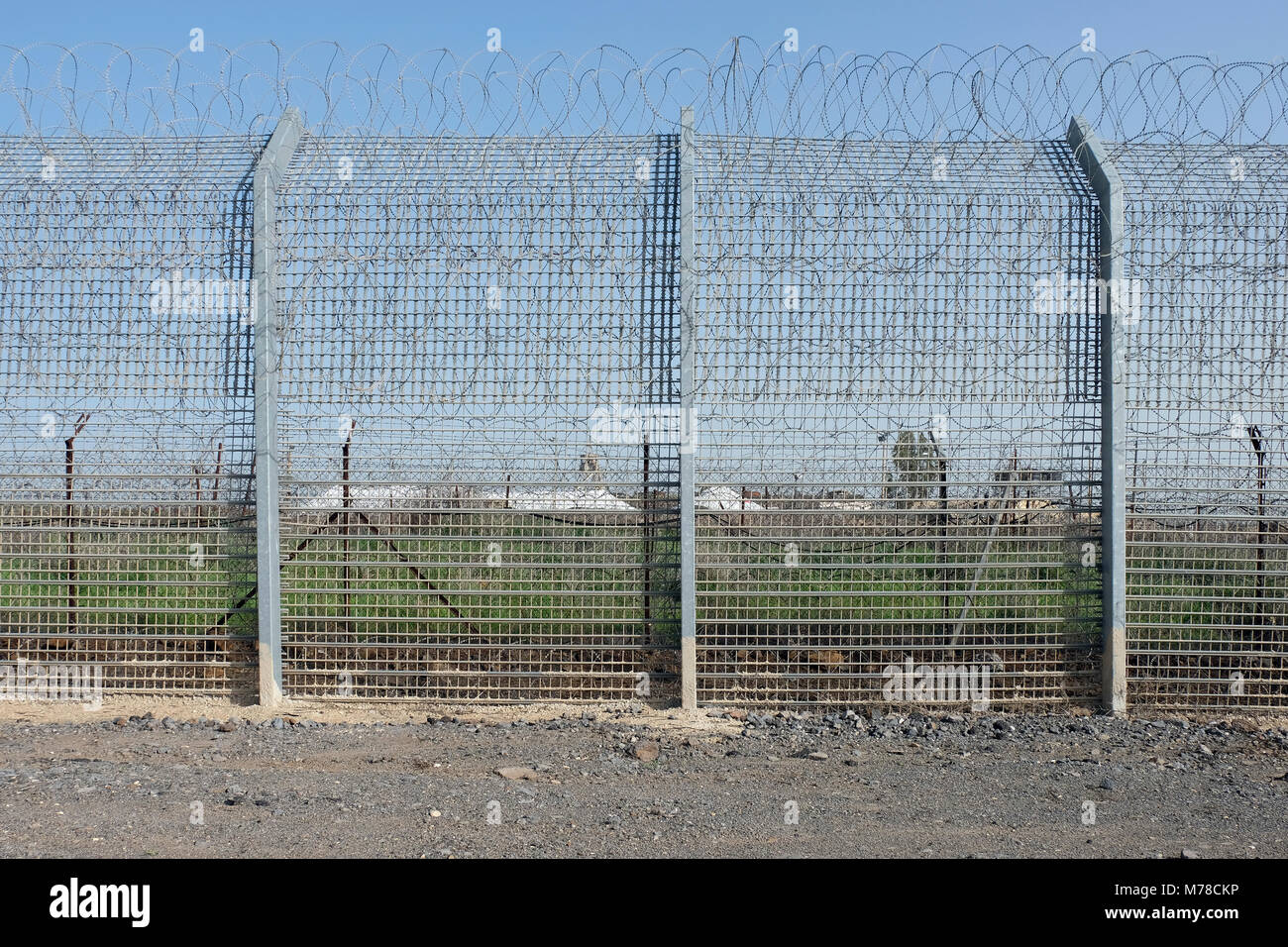 Israeli Field Hospital High Resolution Stock Photography and Images - Alamy