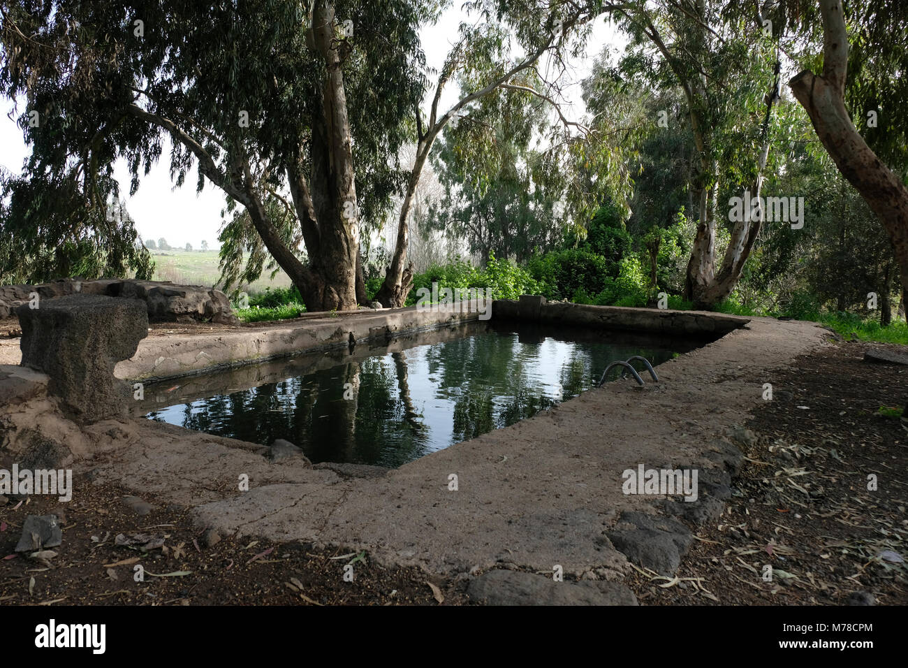 View of a large rectangular pool built of basalt stones named The ...