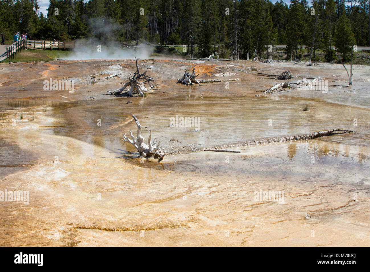 Siliceous sinter and thermophiles at Silex Spring Stock Photo - Alamy