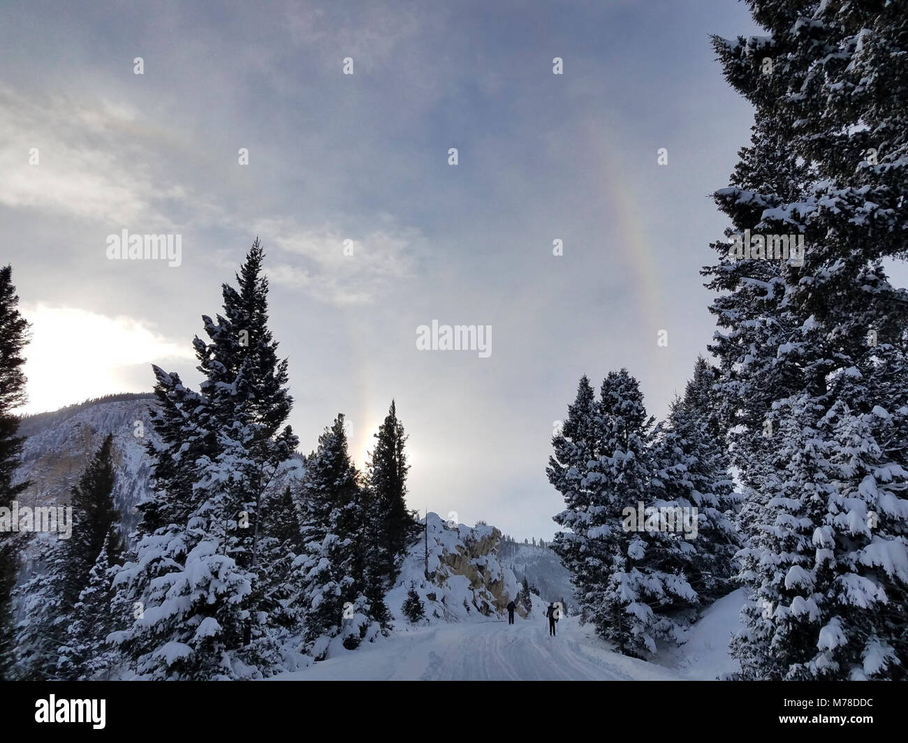 Supralateral arc hi-res stock photography and images - Alamy