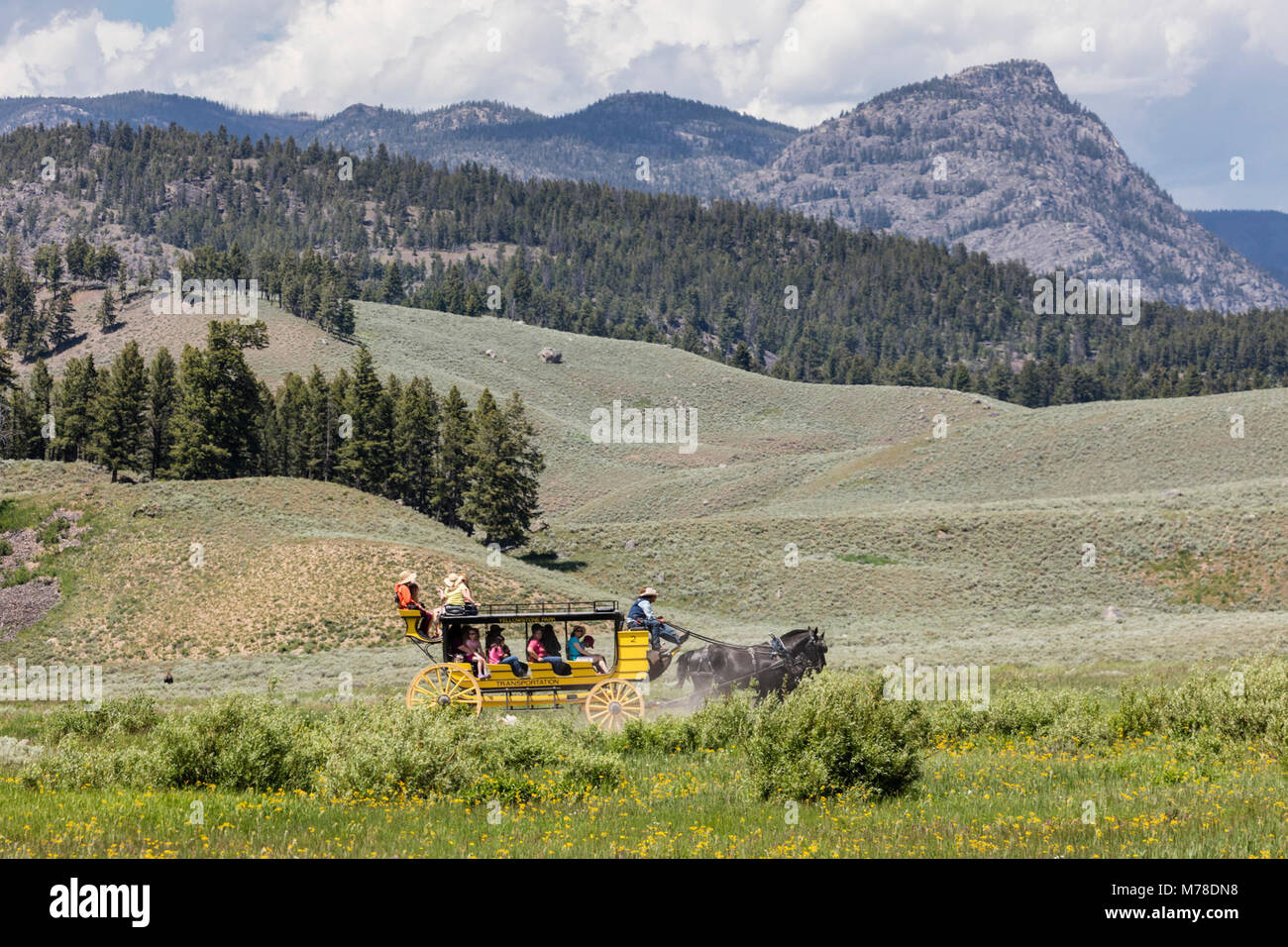 Stagecoach yellowstone national park hi-res stock photography and ...