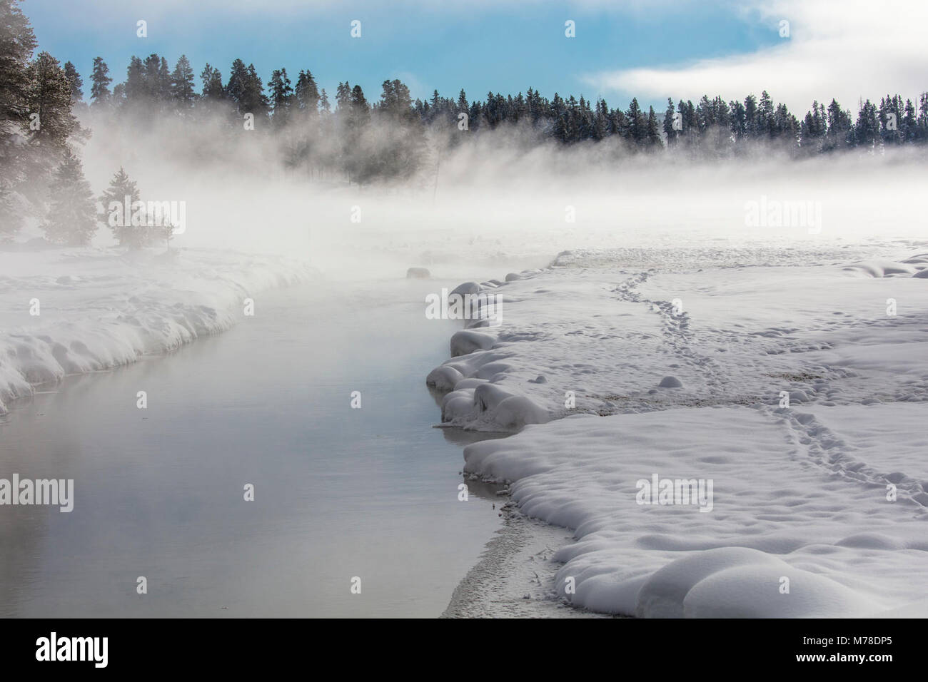 Steam rising from the Gibbon River Stock Photo - Alamy