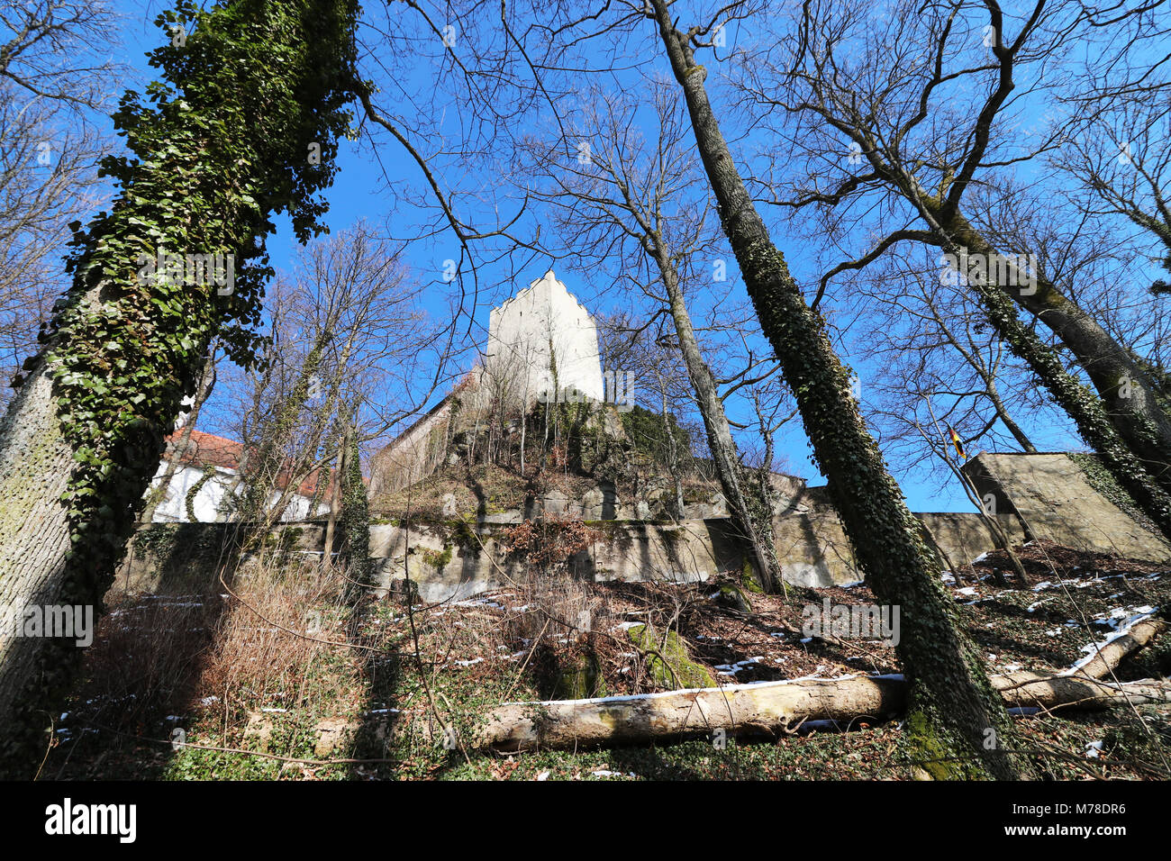 Falkenstein in the Upper Palatinate with the landmark of Falkenstein ...