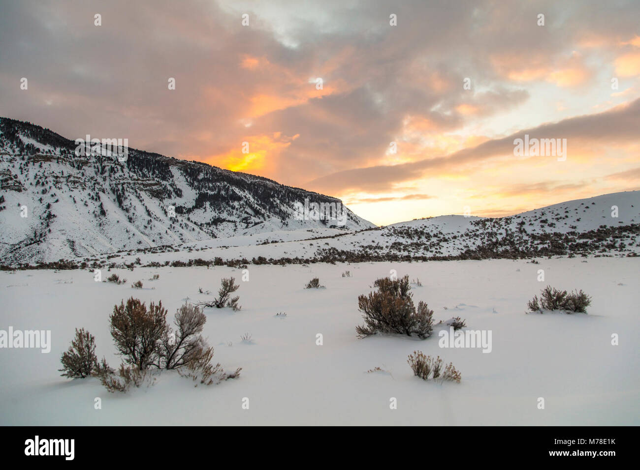 Sunrise over Mt Everts from the Lava Creek Trailhead Stock Photo - Alamy