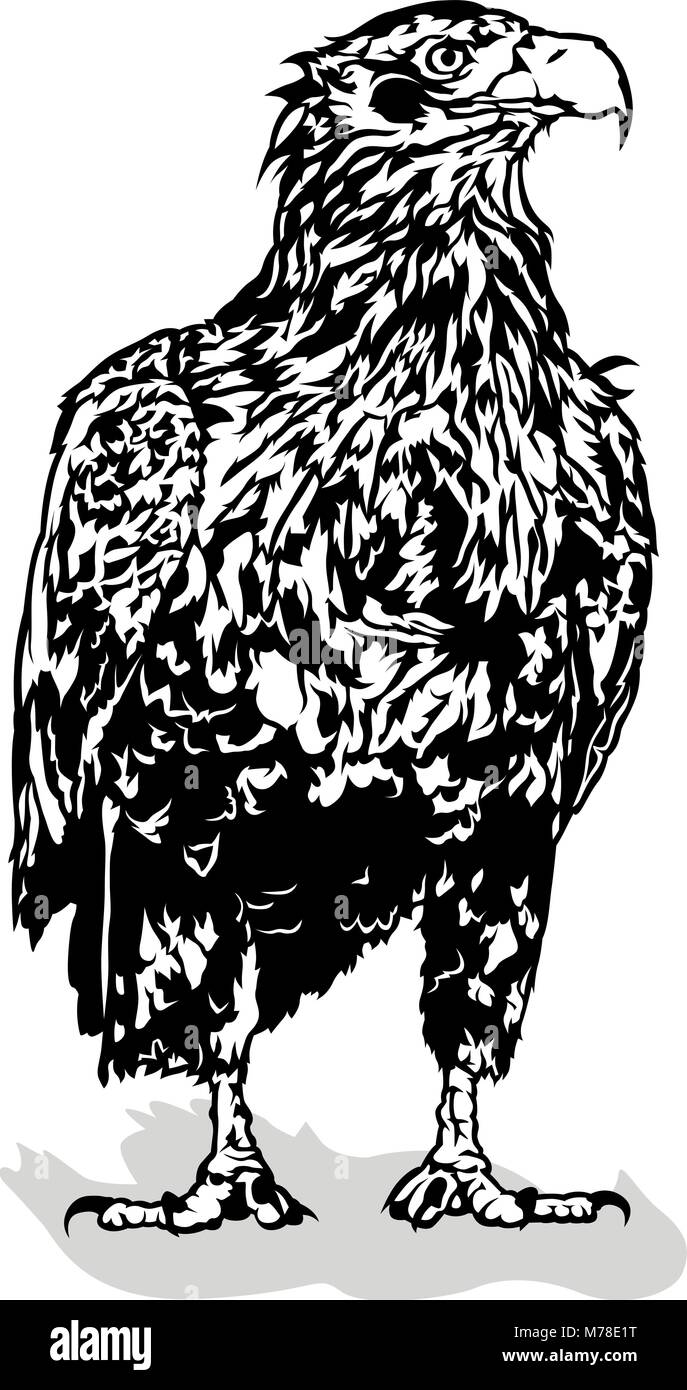 Standing eagle hi-res stock photography and images - Alamy