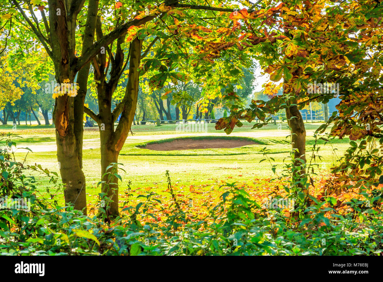 Golf course at Himley Hall in Dudley, West Midlands Stock Photo - Alamy