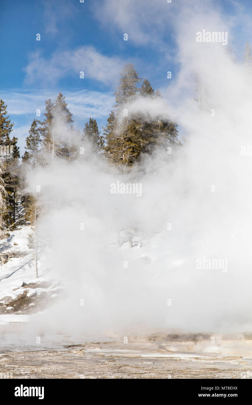 Turban Geyser steam phase Stock Photo - Alamy