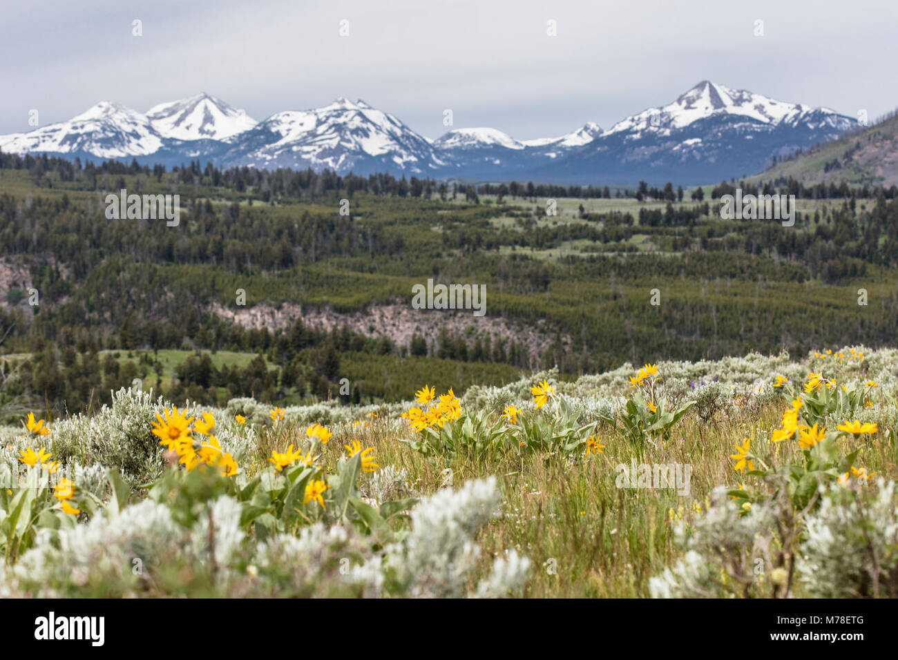 Views from Mount Everts Stock Photo - Alamy
