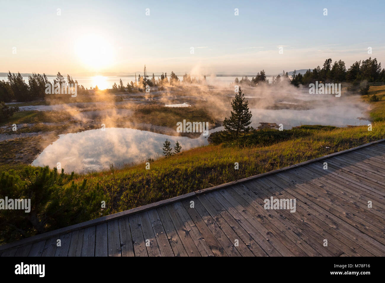 West Thumb Geyser Basin sunrise and boardwalk Stock Photo - Alamy