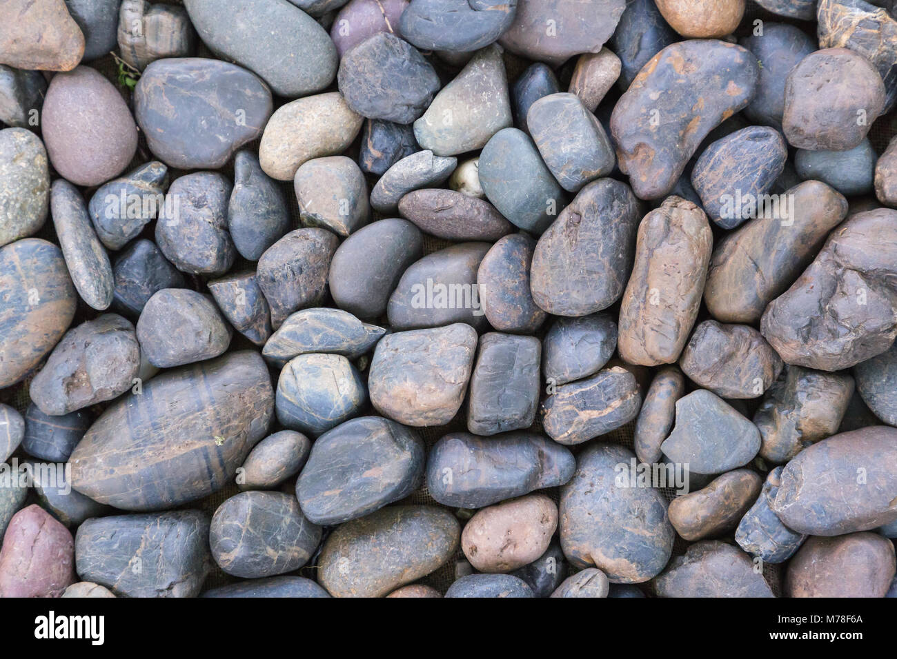 Stone pebbles texture or stone pebbles background for interior exterior ...