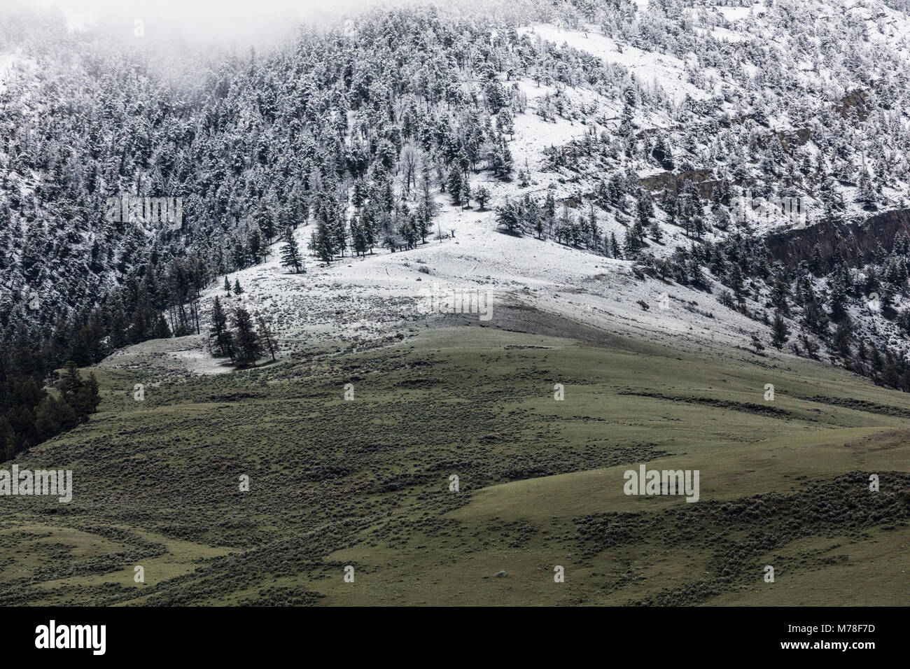 Termination dust hi-res stock photography and images - Alamy