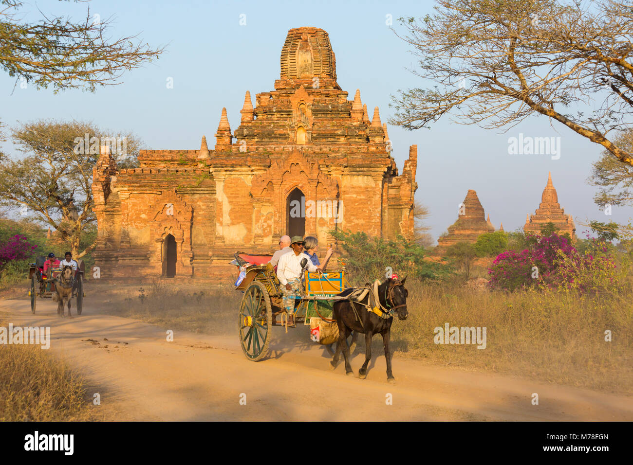 Myanmar horse cart hi-res stock photography and images - Alamy