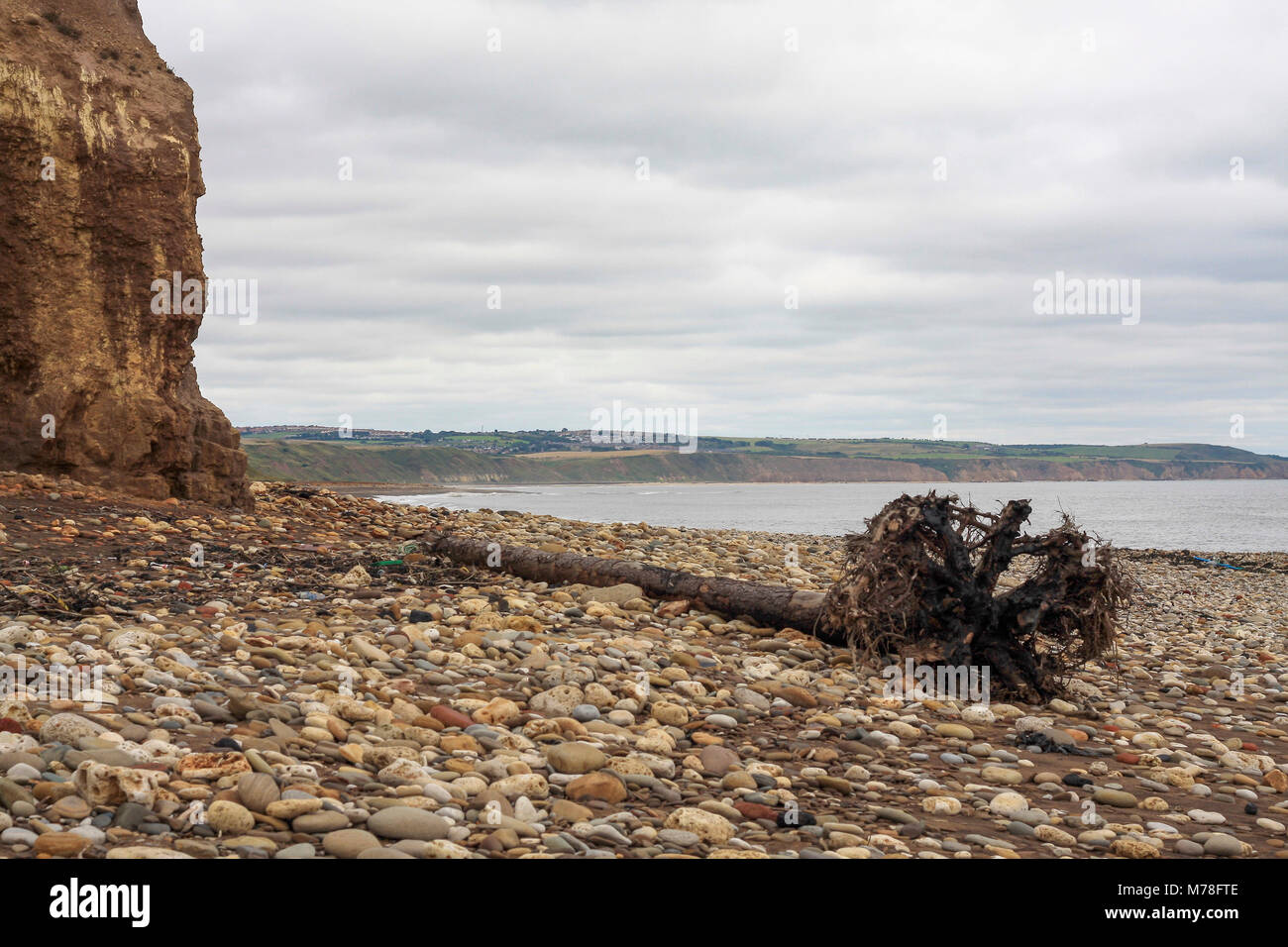Blackhall rocks beach hi-res stock photography and images - Alamy